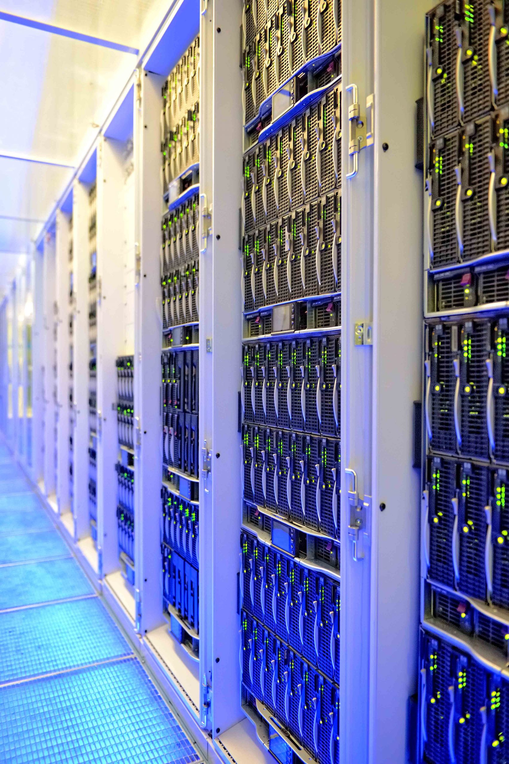 Netropy - Avizent Network Solutions